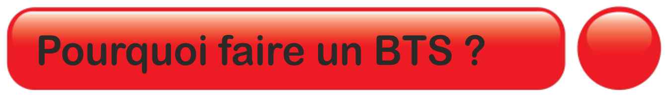 Tout sur le bts - Site d'info BTS Montpellier