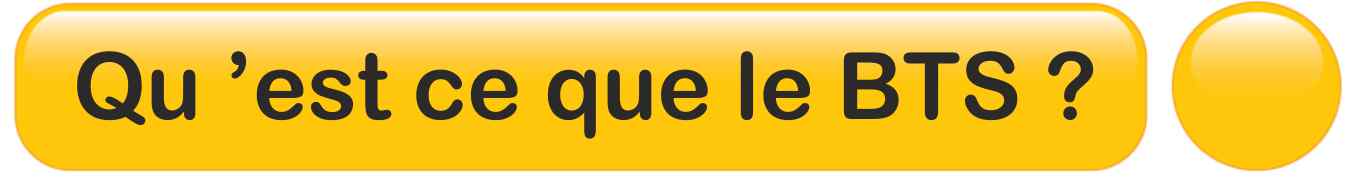 Tout sur le bts - Site d'info BTS Montpellier